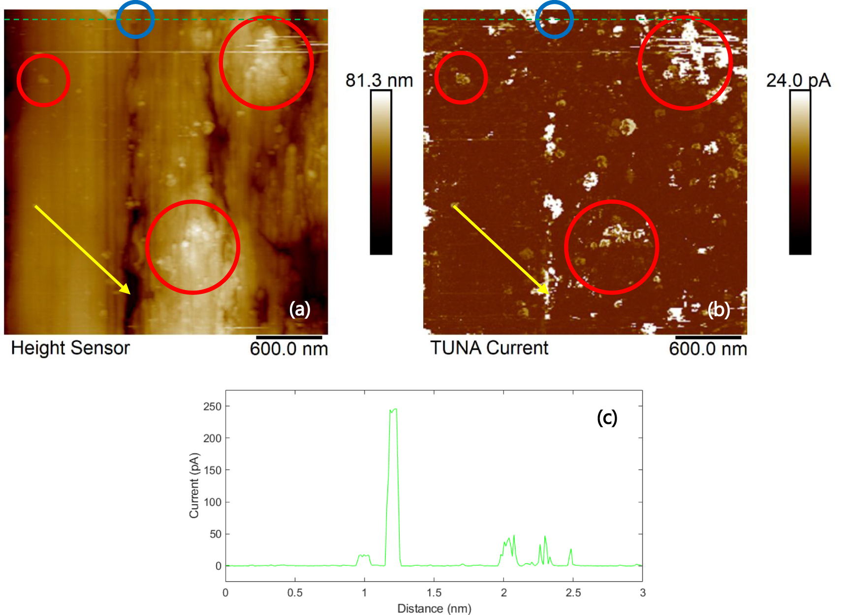 Tribological manufacturing of ZDDP tribofilms functionalised by ...