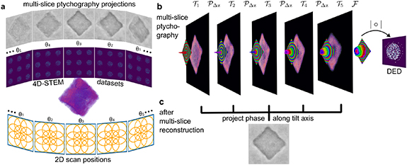 Multi-slice electron ptychographic tomography for three-dimensional phase-contrast microscopy ...