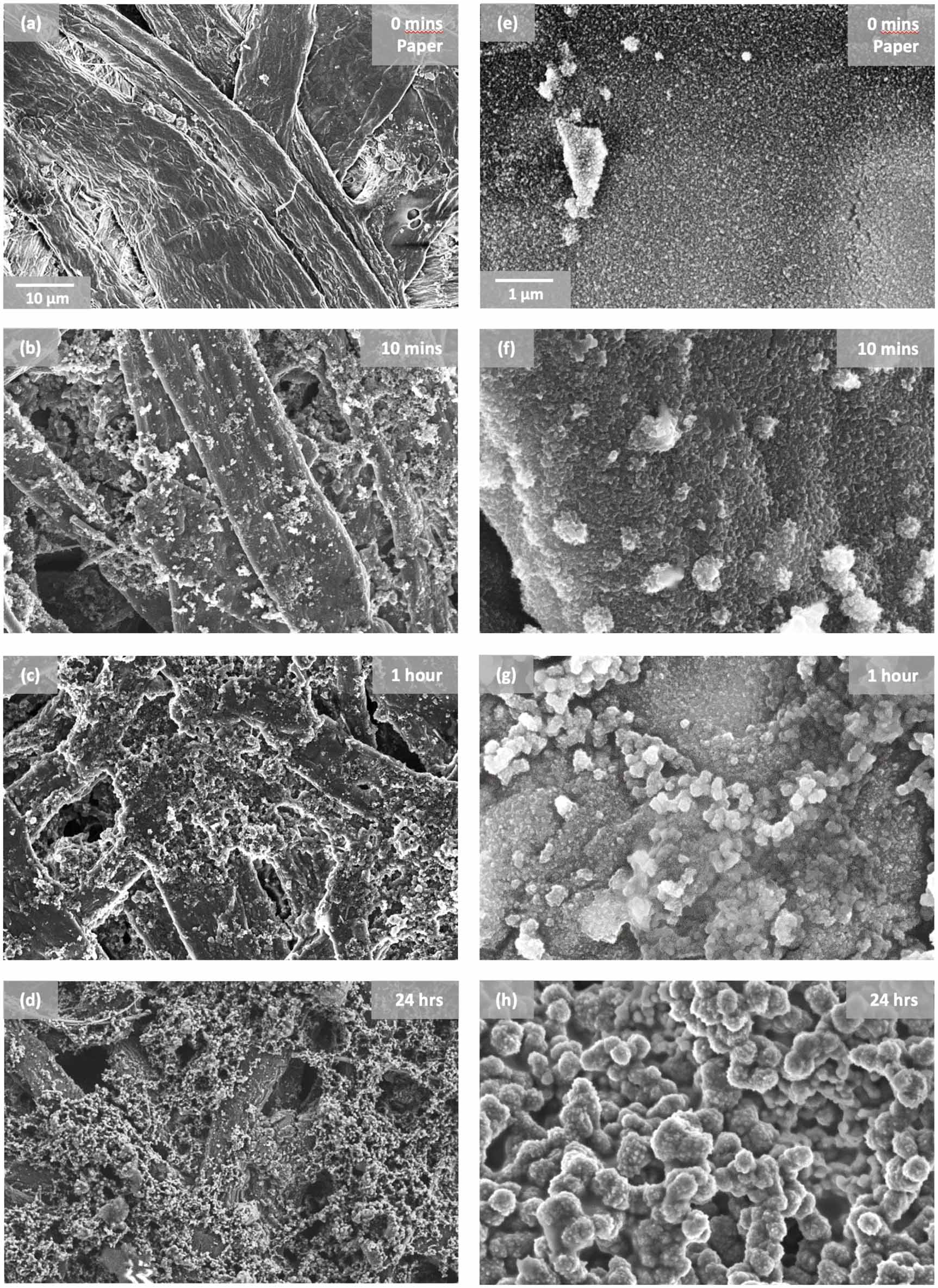 Conductive metal-organic framework synthesis from metal nanoparticle ...