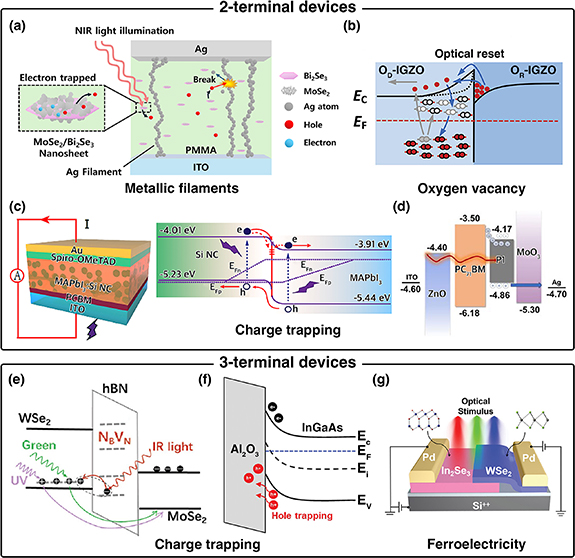 Near-infrared-detectable artificial synapses for advanced neuromorphic ...
