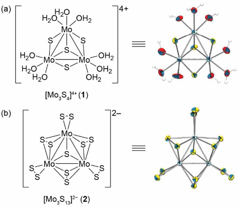 Raman and IR signatures of [Mo3S4]4+ and [Mo3S13]2− molybdenum sulphide ...
