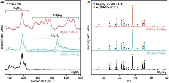 Raman and IR signatures of [Mo3S4]4+ and [Mo3S13]2− molybdenum sulphide ...