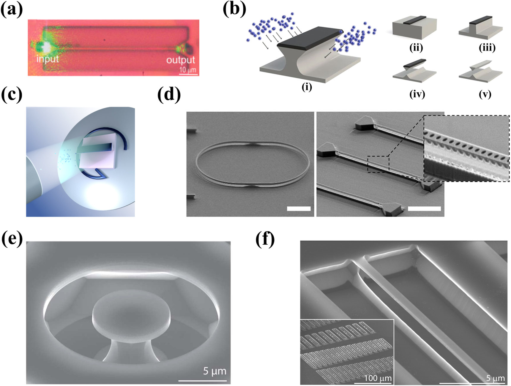 Femtosecond laser written photonic and microfluidic circuits in diamond ...