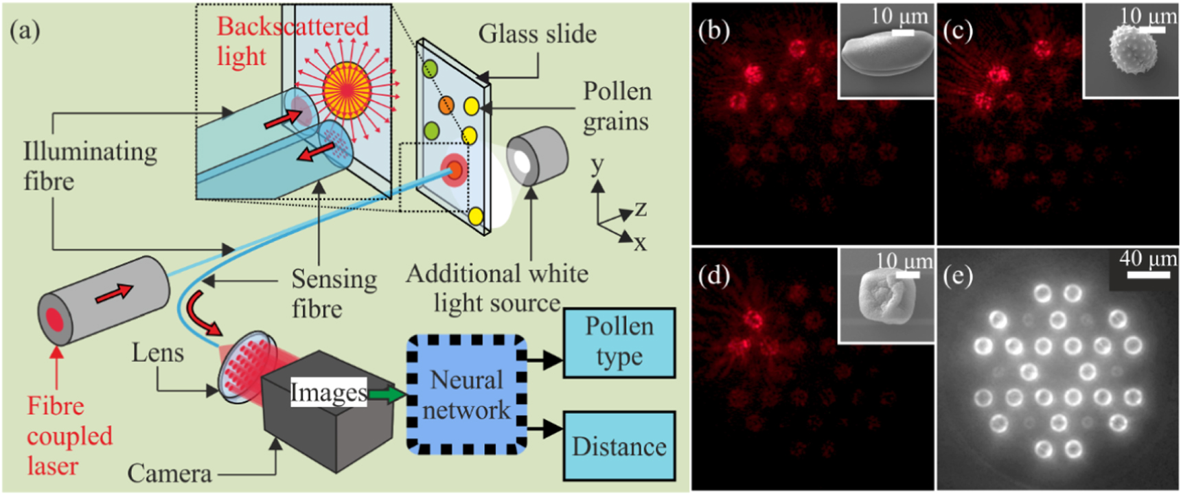 Fibre-optic based particle sensing via deep learning - IOPscience