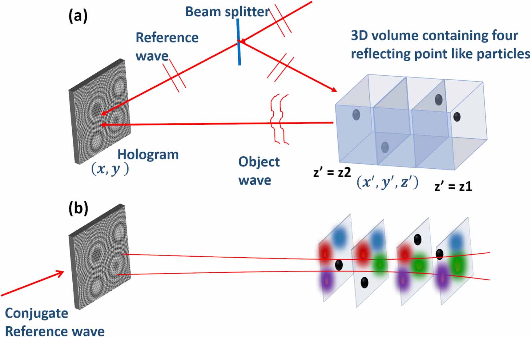 True 3D reconstruction in digital holography - IOPscience