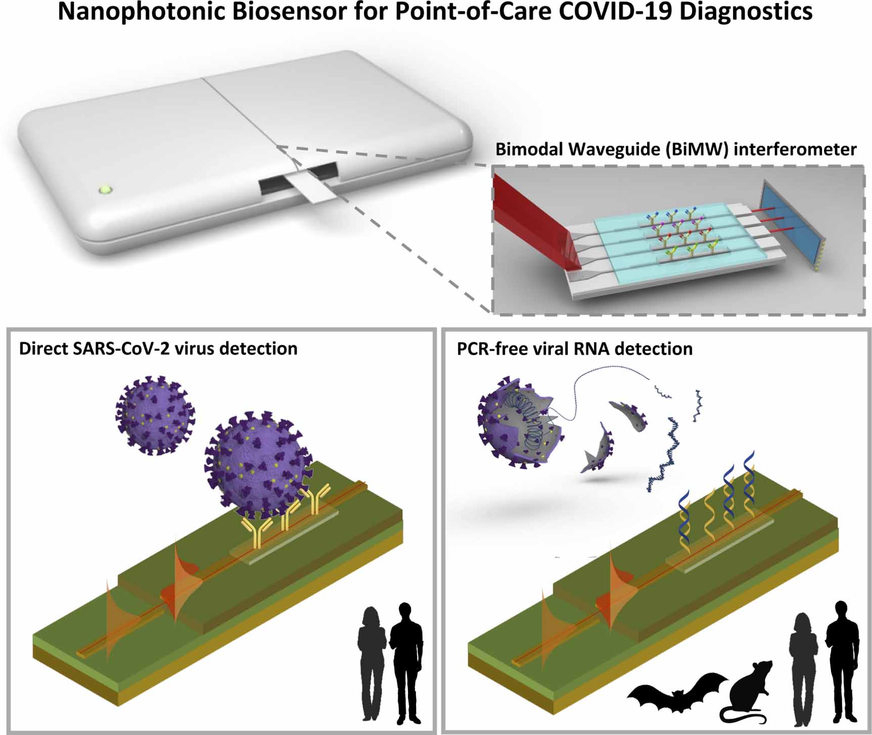Nanophotonic biosensors for point-of-care COVID-19 diagnostics and coronavirus surveillance ...