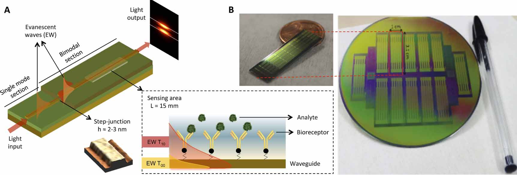 Nanophotonic biosensors for point-of-care COVID-19 diagnostics and ...