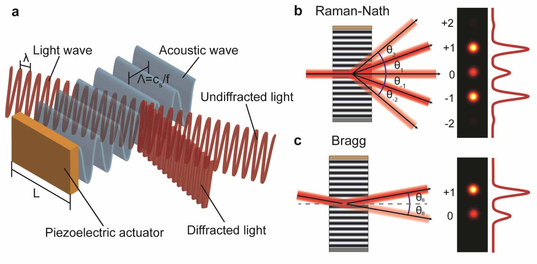 Acousto-optic systems for advanced microscopy - IOPscience