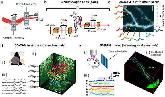 Acousto-optic systems for advanced microscopy - IOPscience