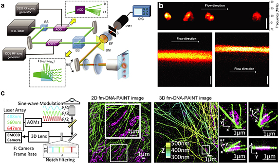 Acousto-optic systems for advanced microscopy - IOPscience