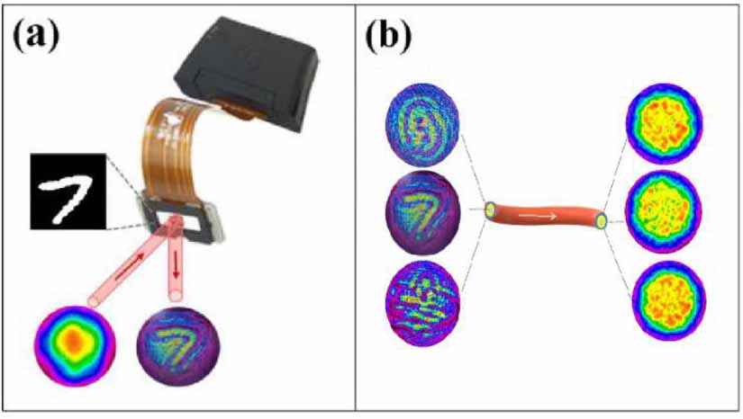 High-fidelity imaging through multimode fibers via deep learning ...