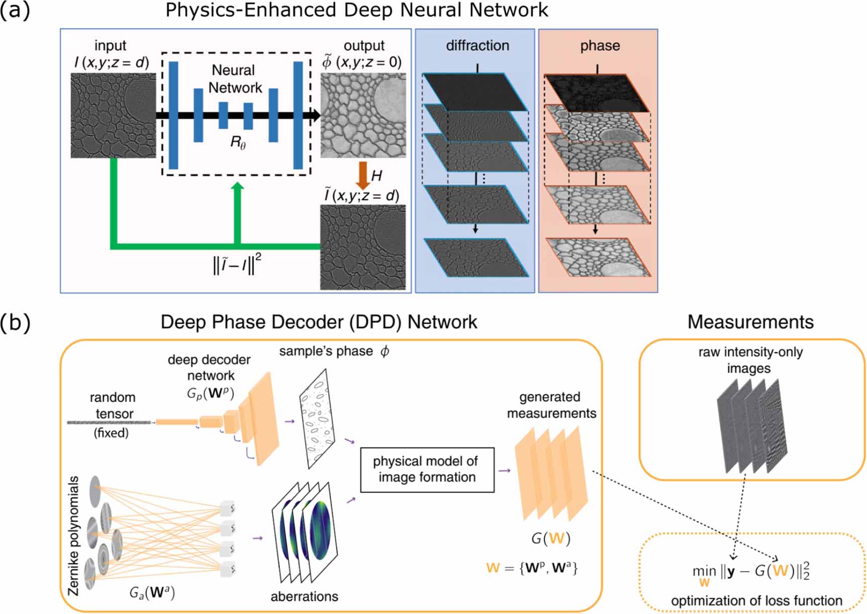 Emergent physics-informed design of deep learning for microscopy ...