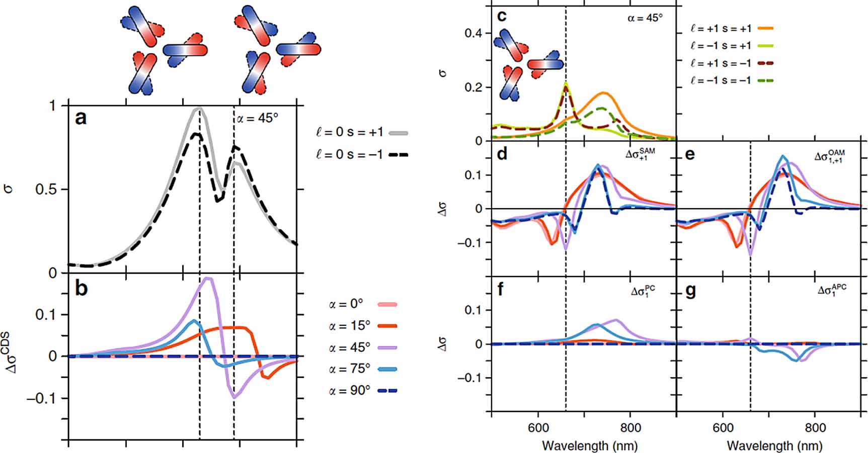 Orbital Angular Momentum Of Twisted Light Chirality And Optical