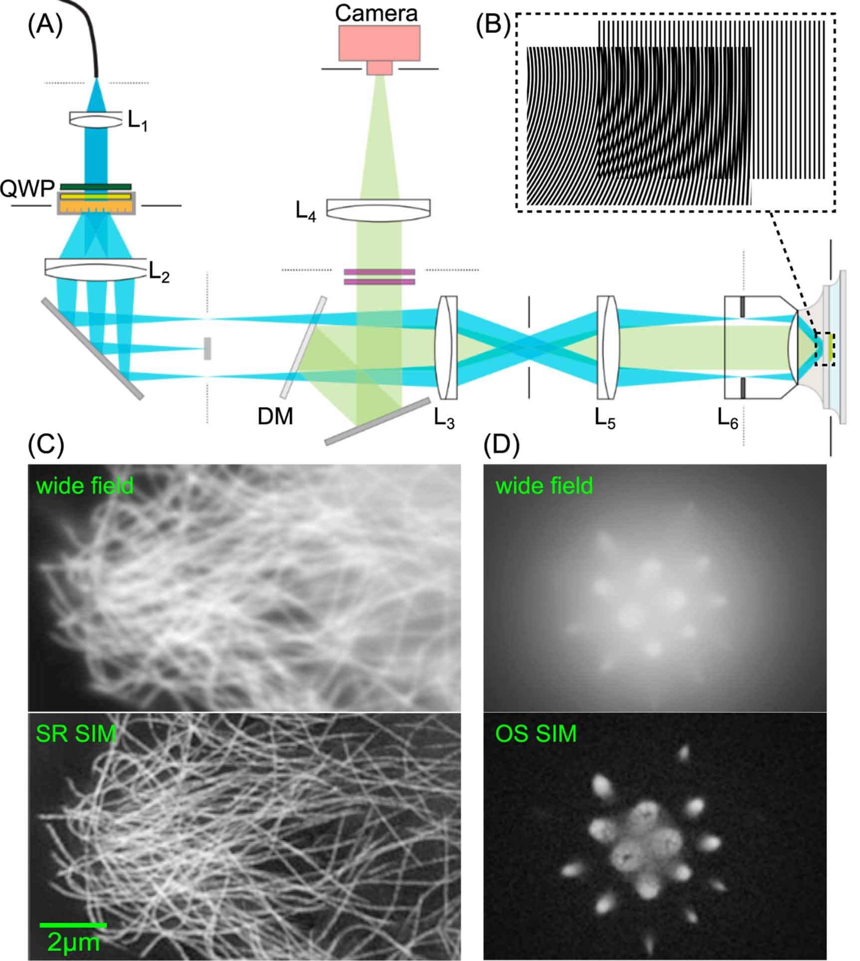 Recent advances in structured illumination microscopy - IOPscience