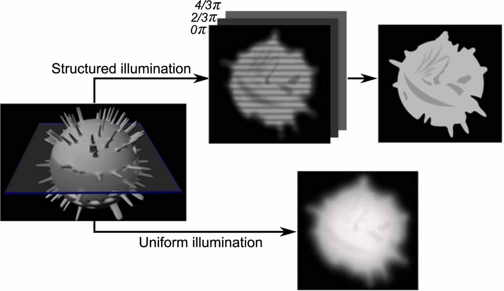 Recent advances in structured illumination microscopy - IOPscience
