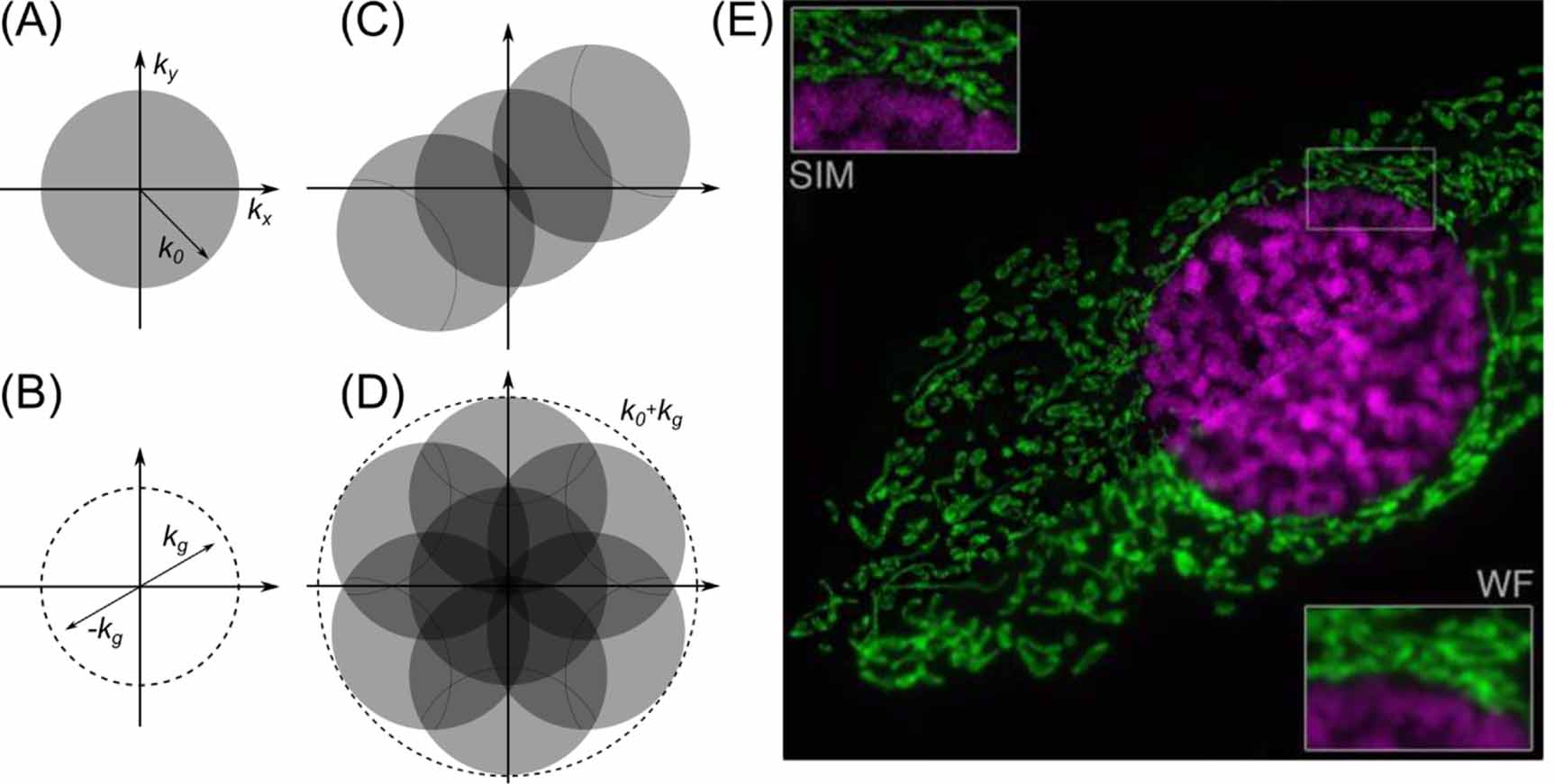 Recent advances in structured illumination microscopy - IOPscience