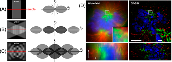 Recent advances in structured illumination microscopy - IOPscience