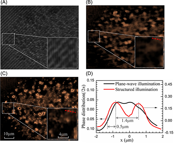Recent advances in structured illumination microscopy - IOPscience
