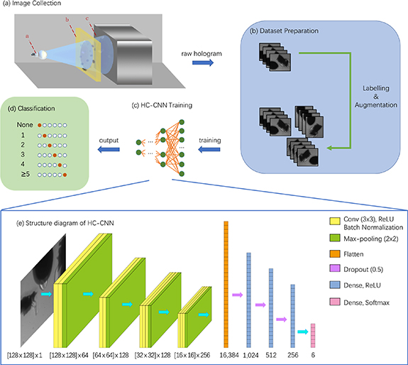 Microplastic pollution monitoring with holographic classification and ...