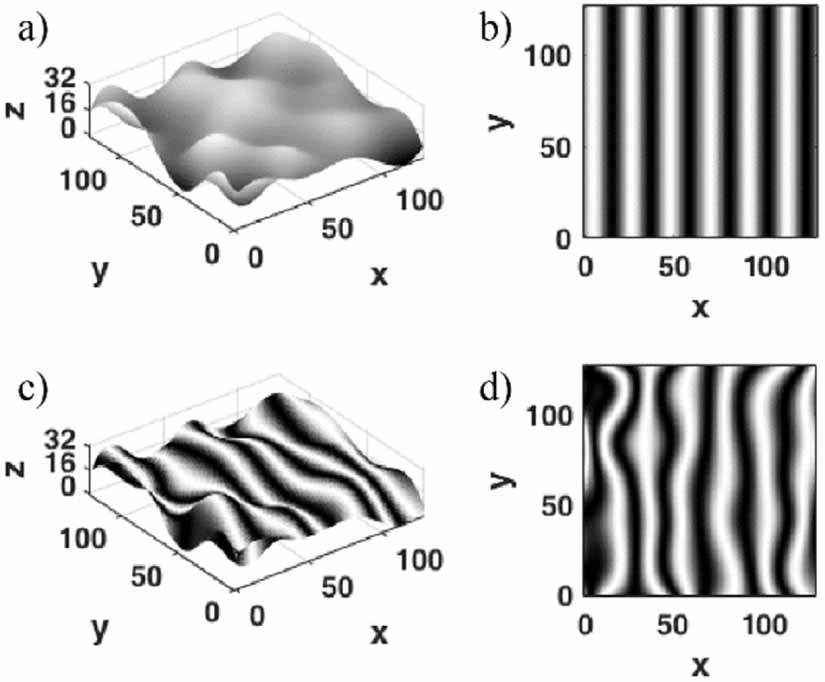 Optimized loss function in deep learning profilometry for improved prediction performance ...