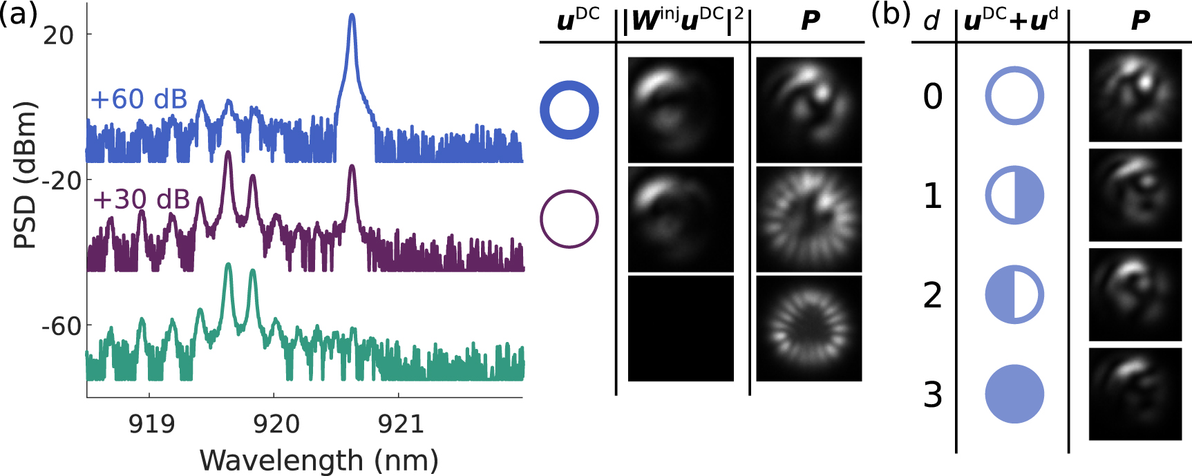 A complete, parallel and autonomous photonic neural network in a ...