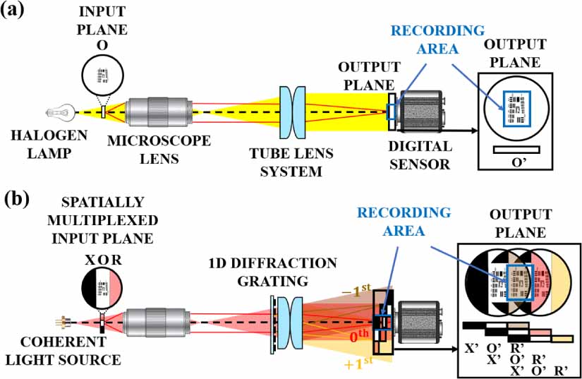 Spatially multiplexed interferometric microscopy: principles and ...