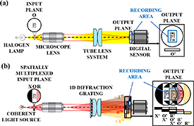 Spatially multiplexed interferometric microscopy: principles and ...