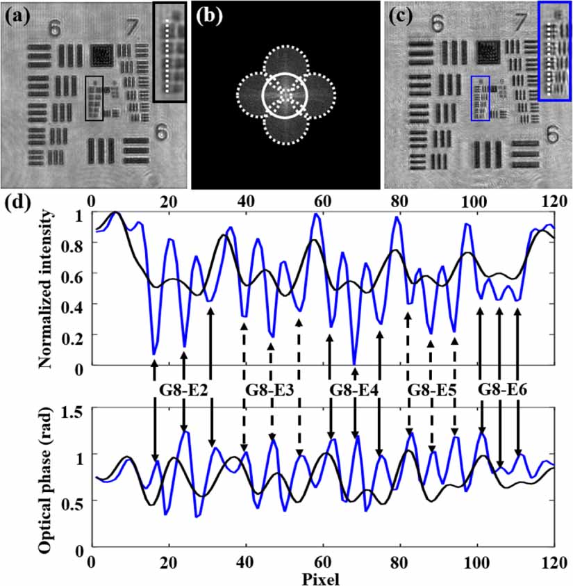 Spatially multiplexed interferometric microscopy: principles and ...