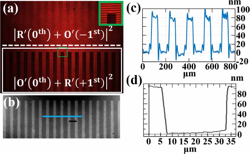 Spatially multiplexed interferometric microscopy: principles and ...