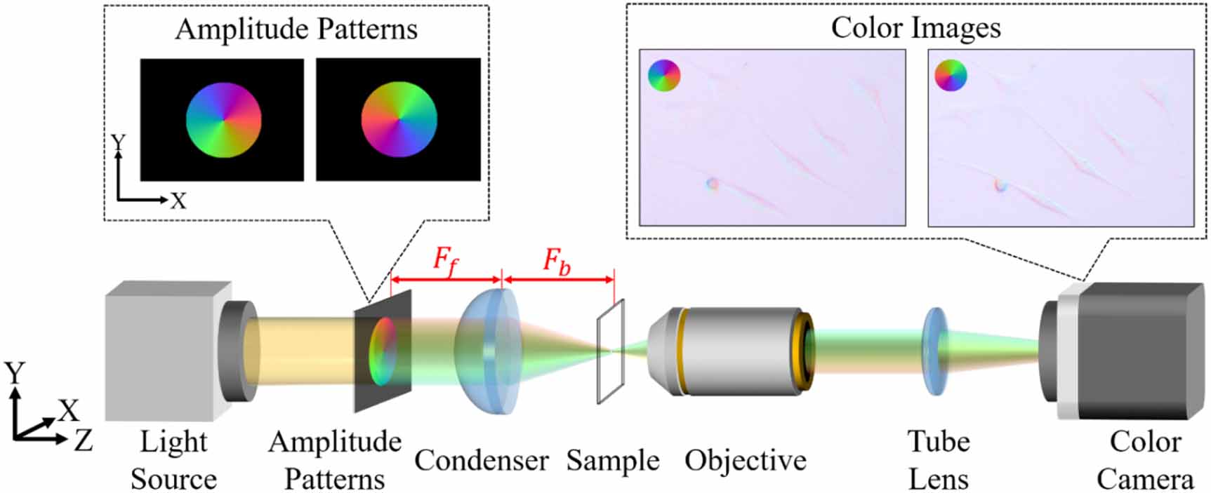 Isotropic quantitative differential phase contrast microscopy using ...