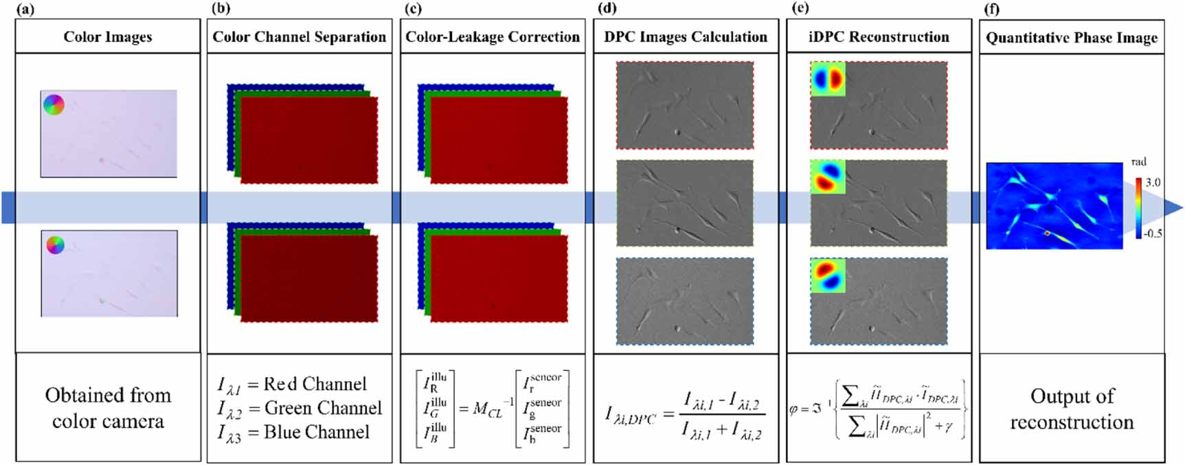 Isotropic quantitative differential phase contrast microscopy using ...