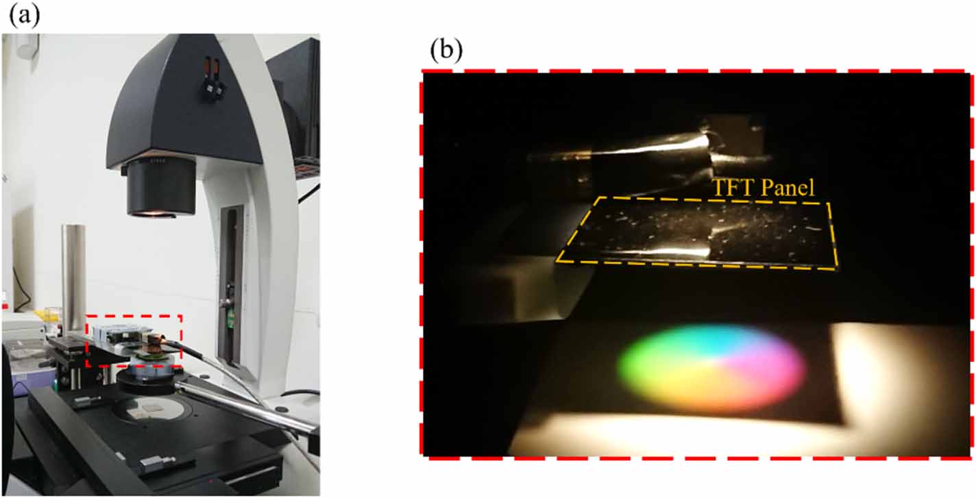 Isotropic quantitative differential phase contrast microscopy using ...