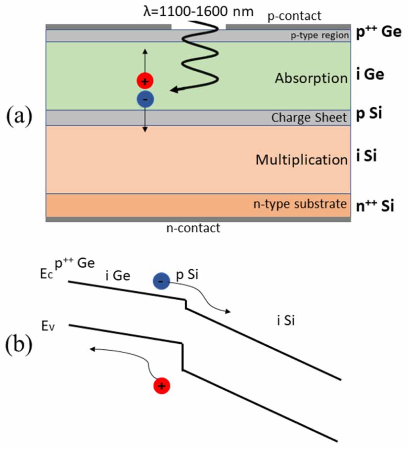 Ge-on-Si single-photon avalanche diode detectors for short-wave ...