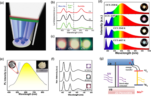 Metal halide perovskites-based white light-emitting diodes - IOPscience