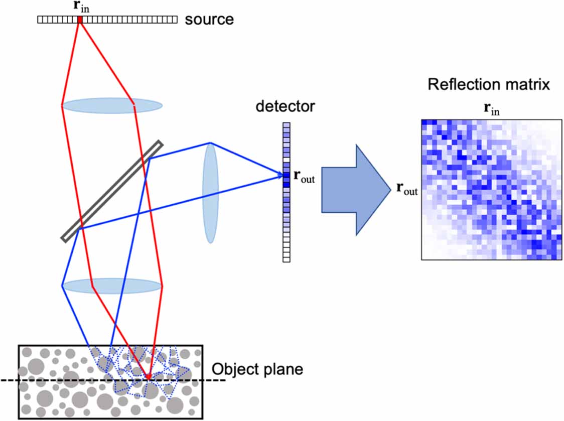 Roadmap on wavefront shaping and deep imaging in complex media - IOPscience