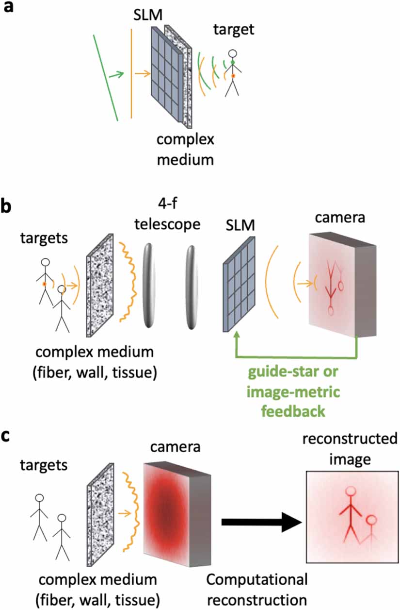 Roadmap on wavefront shaping and deep imaging in complex media - IOPscience