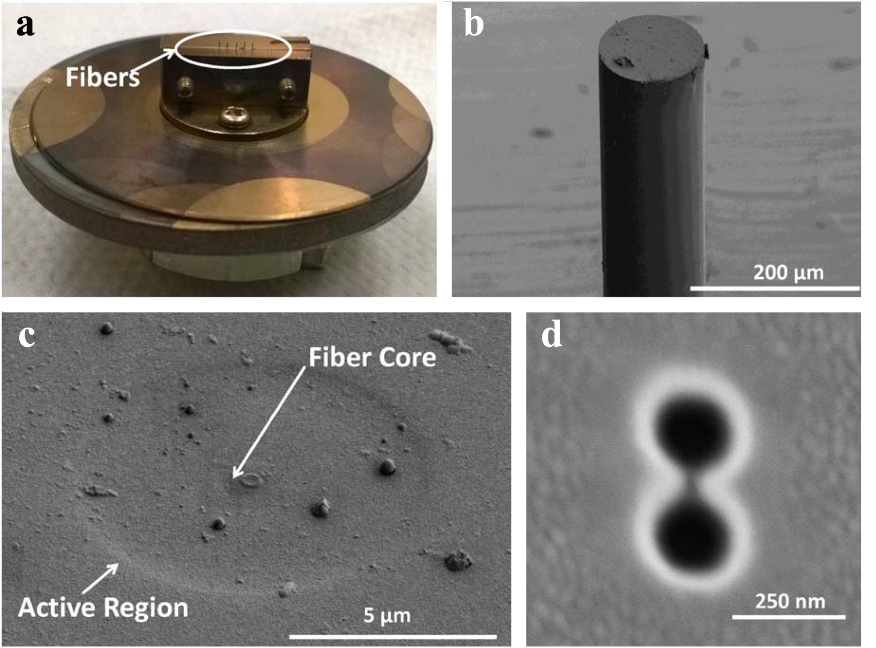 Roadmap for optical tweezers - IOPscience