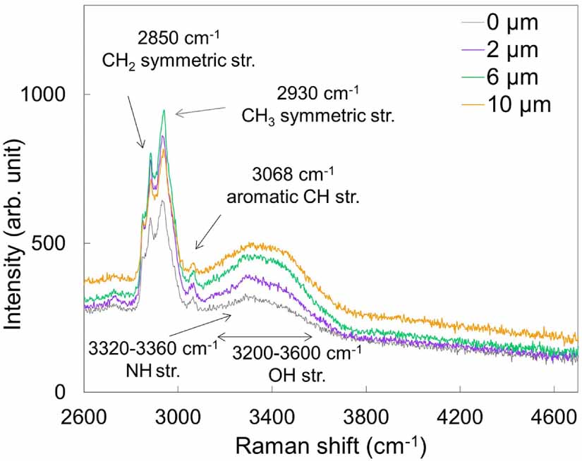 An emerging tool in healthcare: wearable surface-enhanced Raman ...