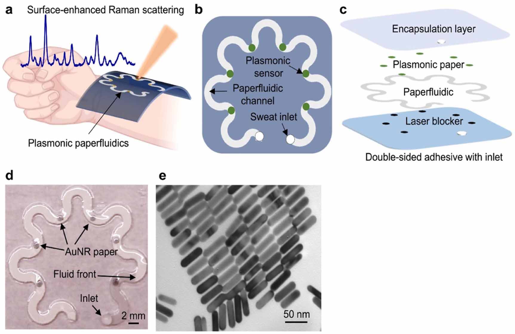 An emerging tool in healthcare: wearable surface-enhanced Raman ...