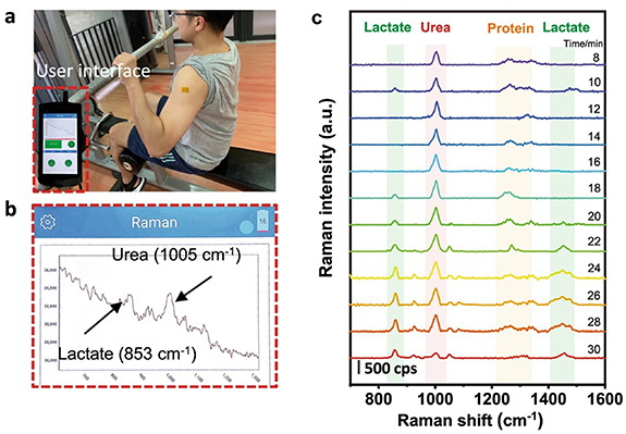 An emerging tool in healthcare: wearable surface-enhanced Raman ...