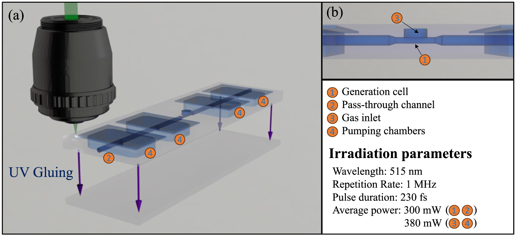Ultraviolet supercontinuum generation using a differentially-pumped ...