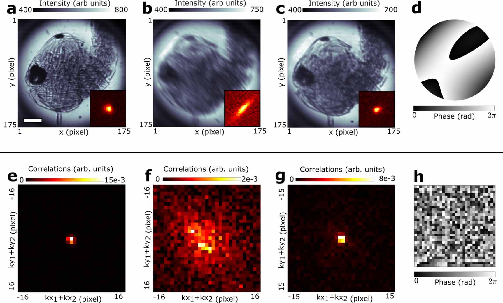 Shaping the spatial correlations of entangled photon pairs - IOPscience