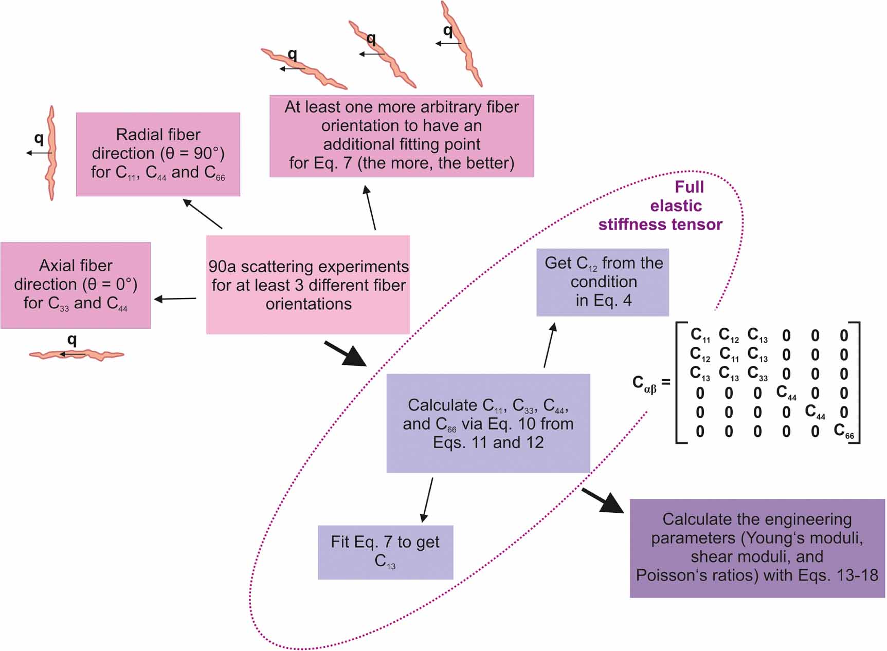 The elastic stiffness tensor of cellulosic viscose fibers measured with ...