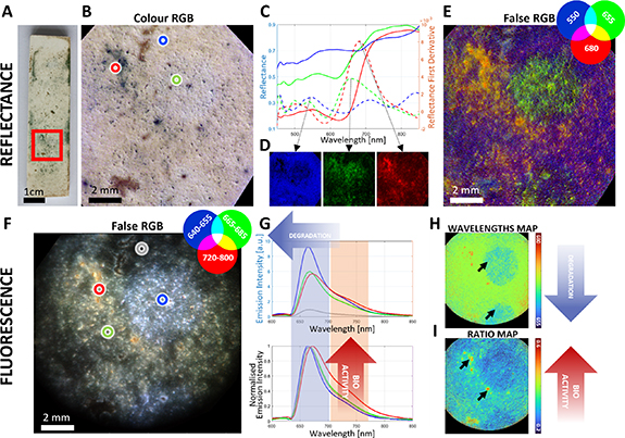 Enhancing hyperspectral imaging through macro and multi-modal ...