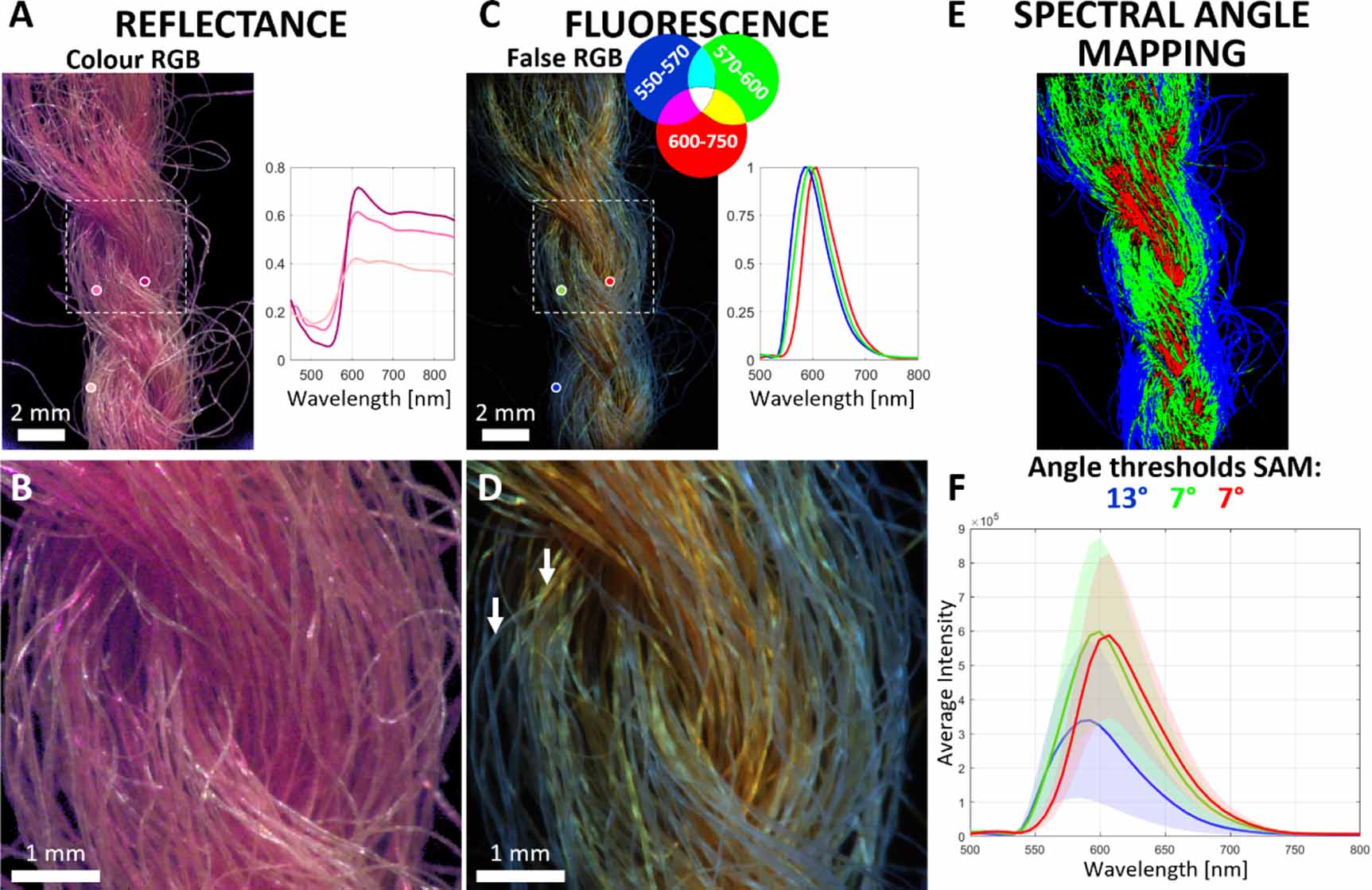 Enhancing hyperspectral imaging through macro and multi-modal ...
