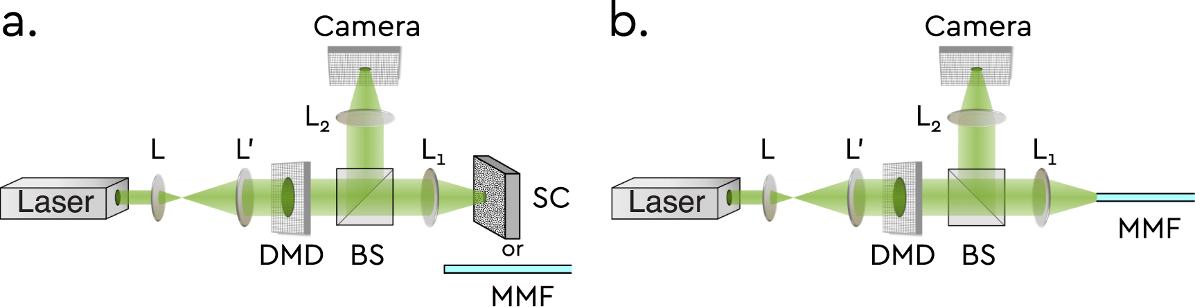 A practical guide to digital micro-mirror devices (DMDs) for wavefront ...