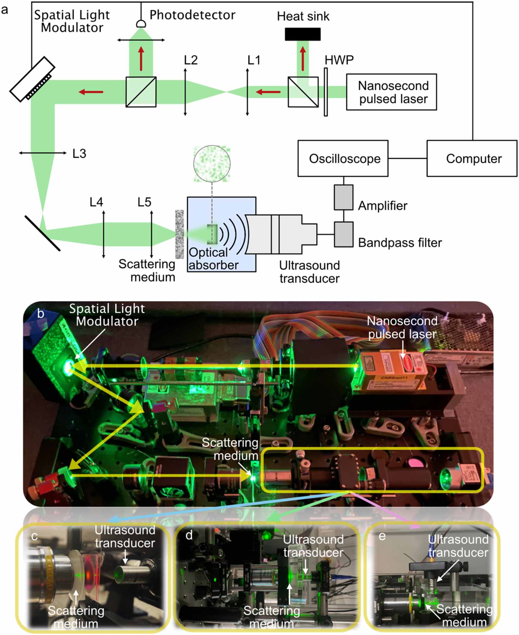 Optical wavefront shaping in deep tissue using photoacoustic feedback - IOPscience
