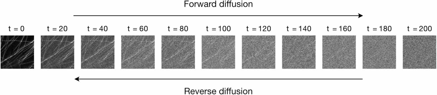 Diffusion models for super-resolution microscopy: a tutorial - IOPscience