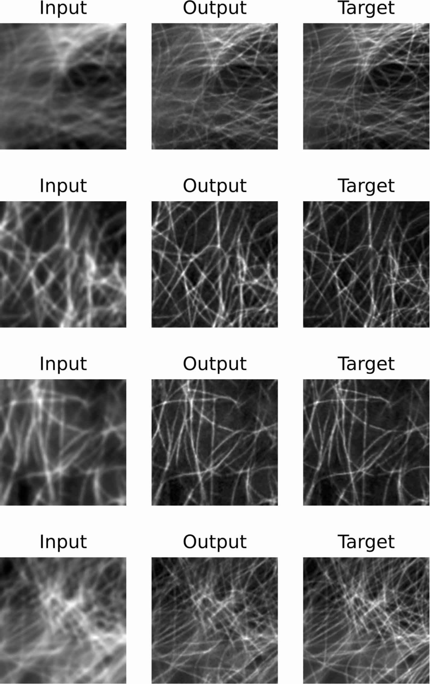 Diffusion models for super-resolution microscopy: a tutorial - IOPscience