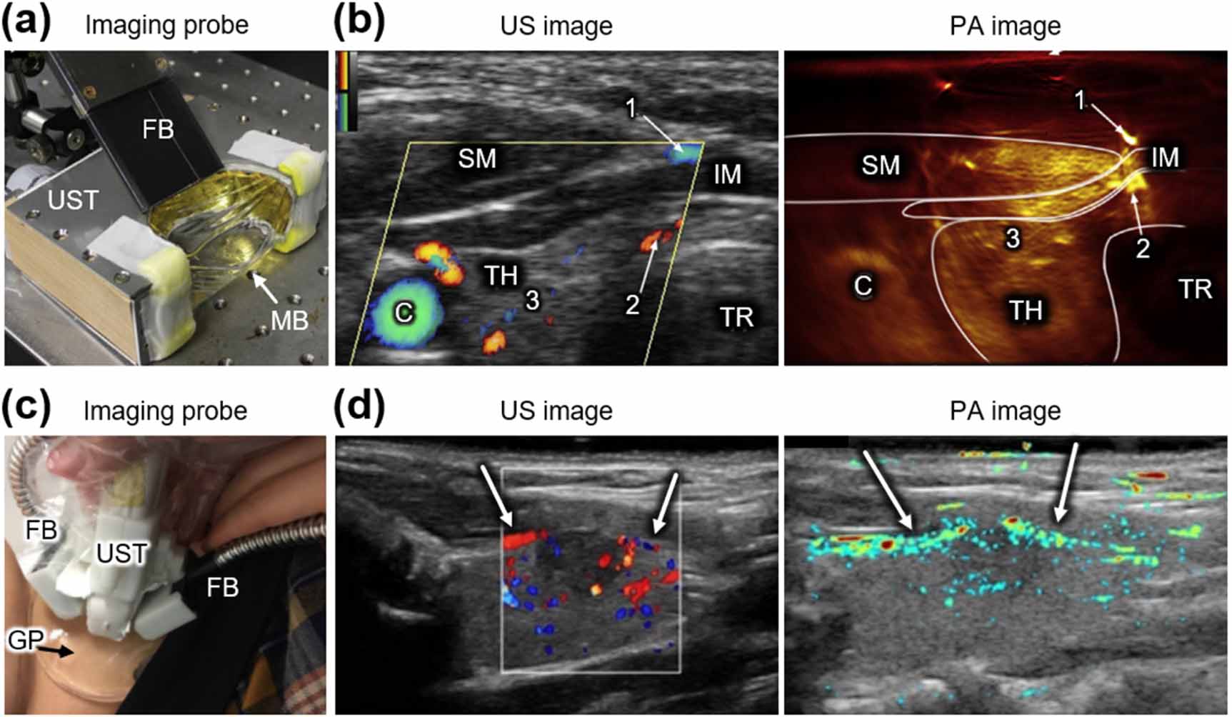 In vivo photoacoustic and ultrafast ultrasound Doppler assessment of ...